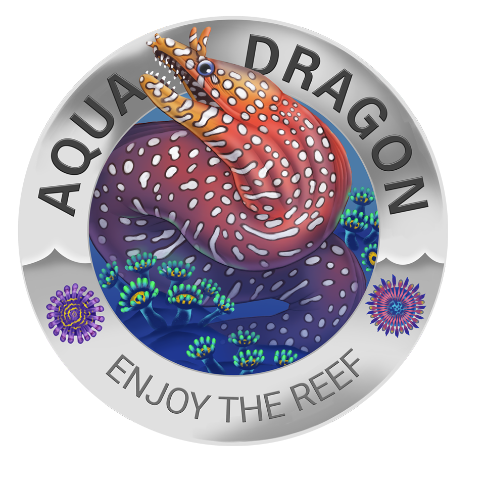 Fische – Aqua Dragon