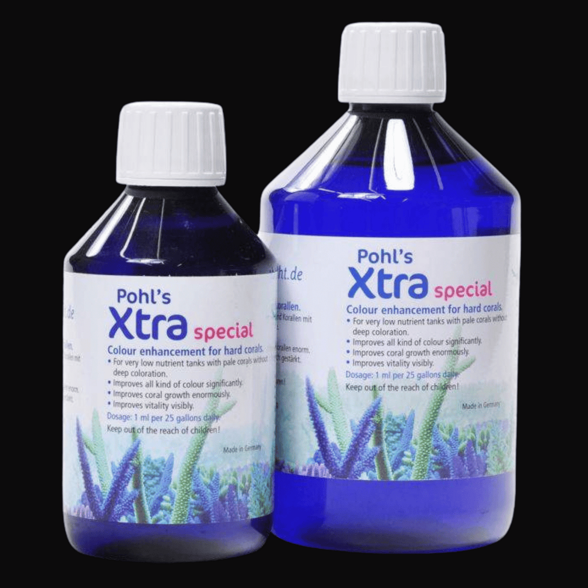 Korallen-Zucht Pohl's Xtra special – Aqua Dragon
